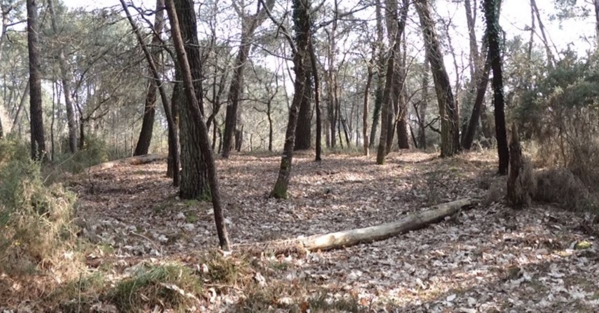 Mound | Megalithic landscapes